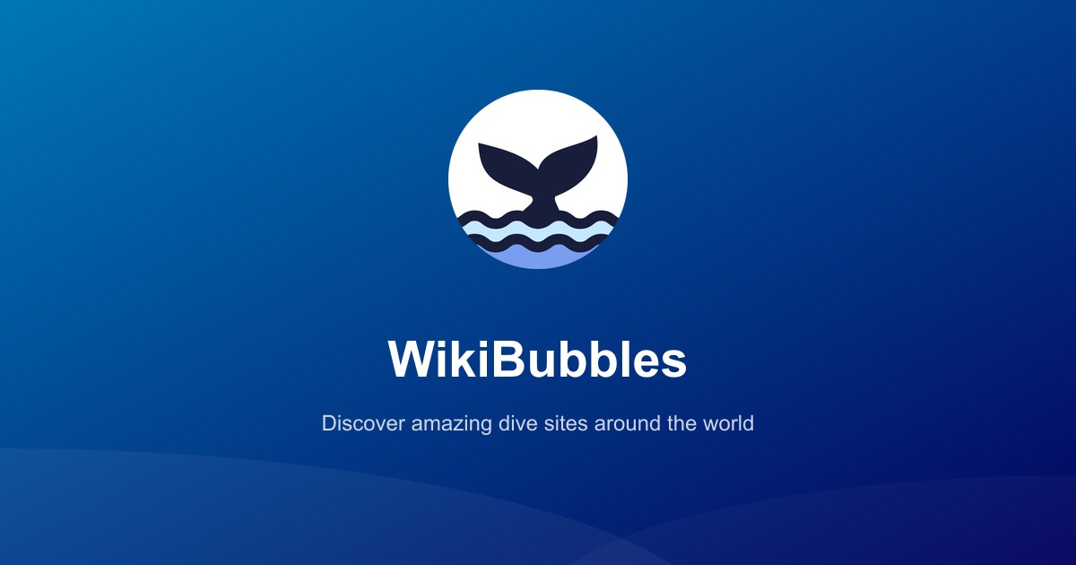 The Ultimate Guide to Diving and Snorkeling in Chatan, Japan | WikiBubbles